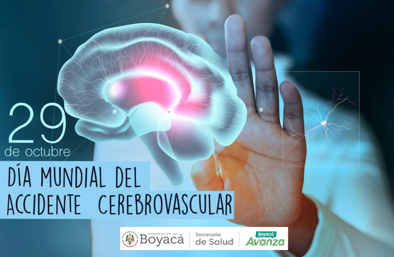 29 de octubre: Día Mundial de la prevención del Accidente ...